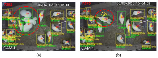 Chicken Tracking and Individual Bird Activity Monitoring Using the BoT-SORT Algorithm