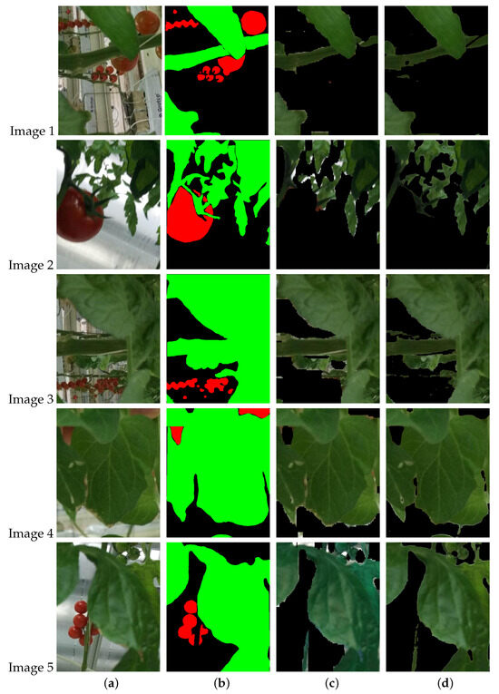 Segmentation of Leaves and Fruits of Tomato Plants by Color Dominance
