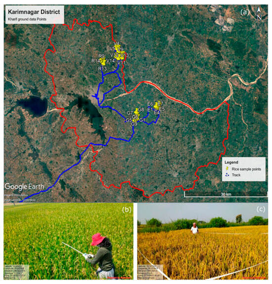 AgriEngineering | Free Full-Text | Crop Yield Assessment Using Field ...