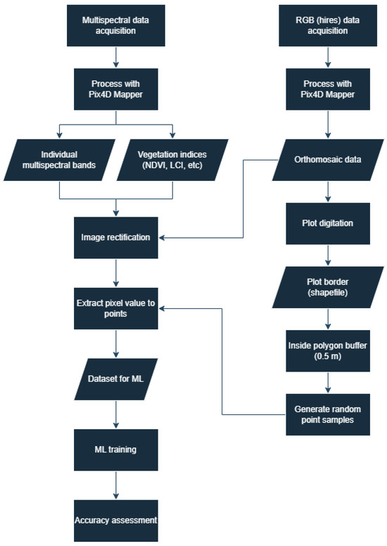 AgriEngineering | Free Full-Text | Machine Learning for Precise Rice ...
