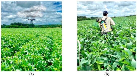 Use of Unmanned Aerial Vehicle for Pesticide Application in Soybean Crop
