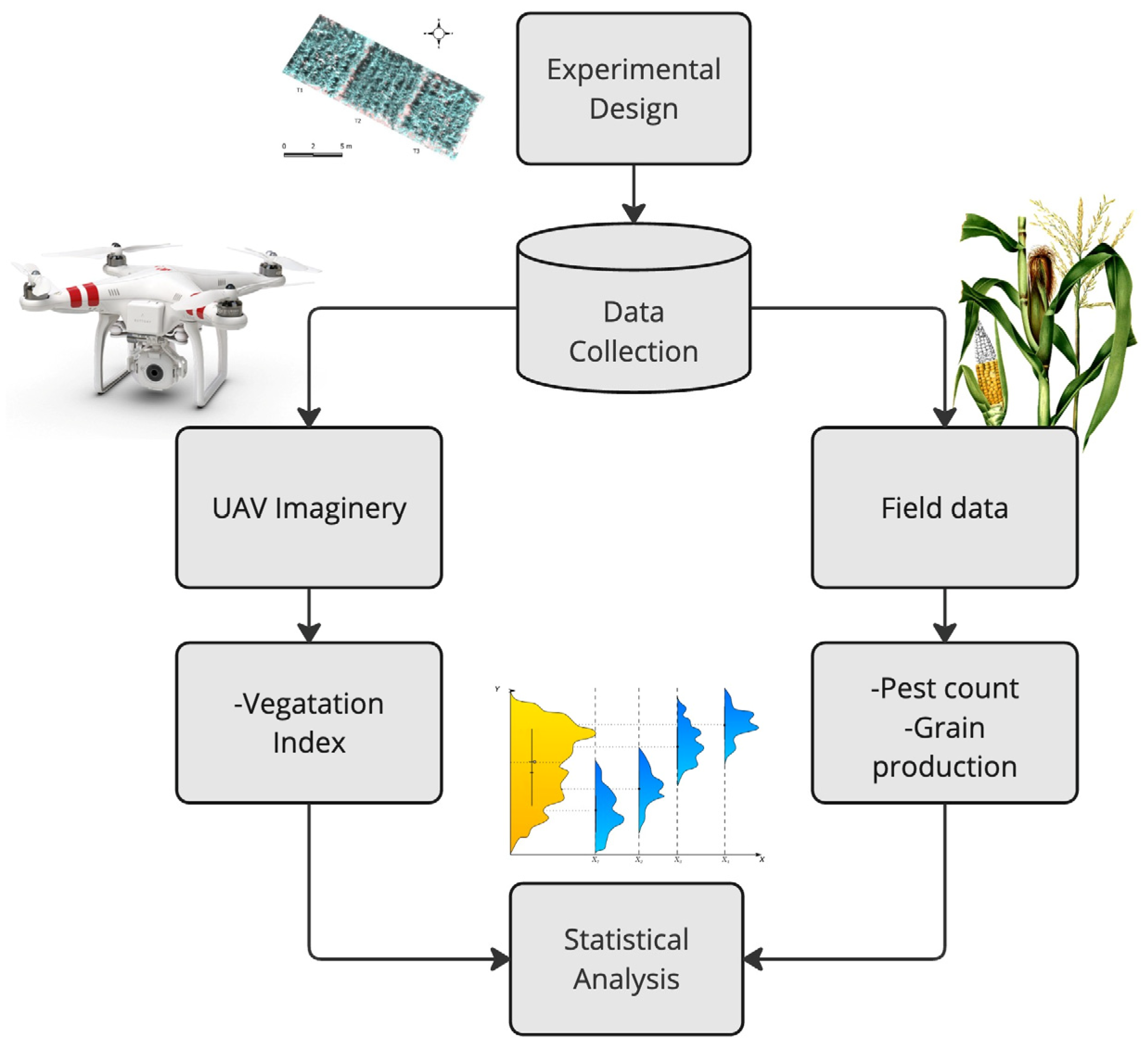 AgriEngineering | Free Full-Text | Effects of Silicon Application on ...