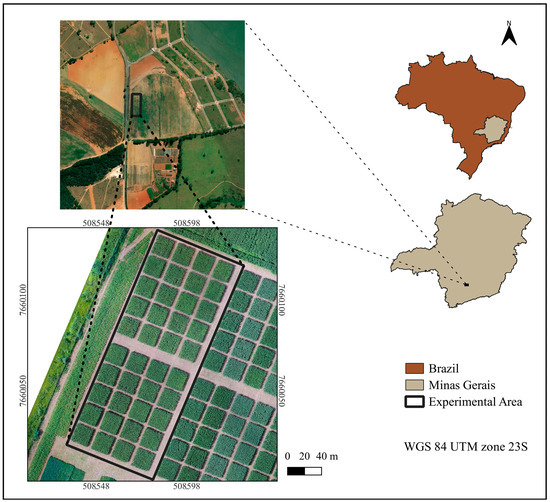 Integrating Satellite and UAV Technologies for Maize Plant Height Estimation Using Advanced ...