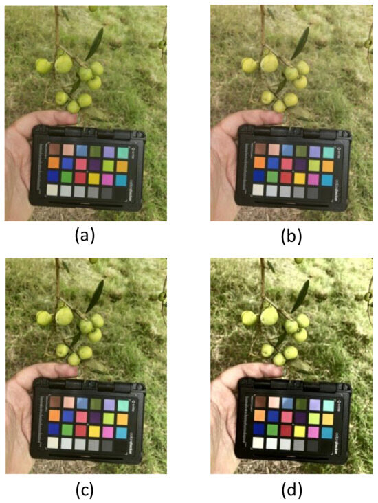 Comparative Evaluation of Color Correction as Image Preprocessing for ...