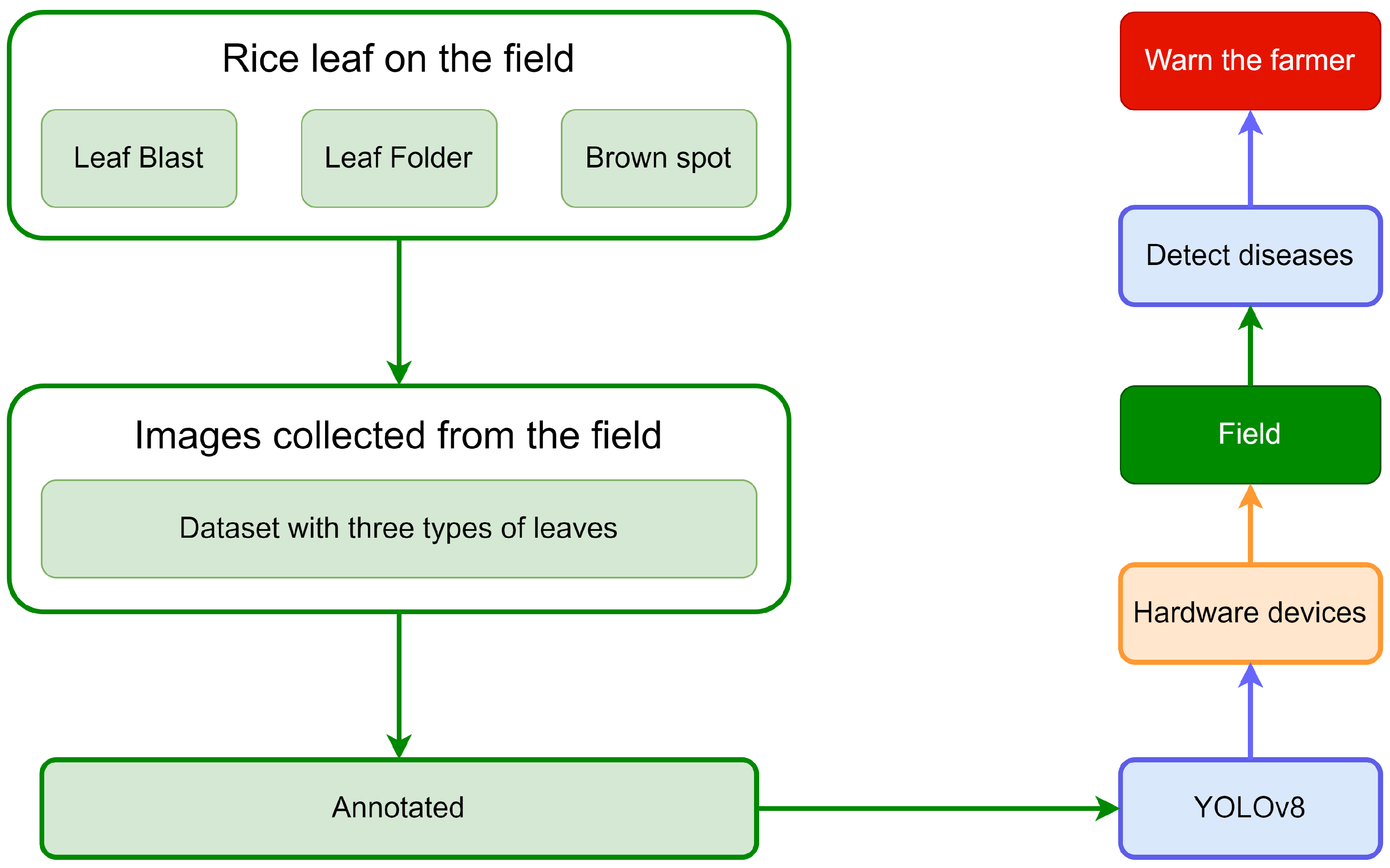 Alpha-EIOU-YOLOv8: An Improved Algorithm for Rice Leaf Disease Detection