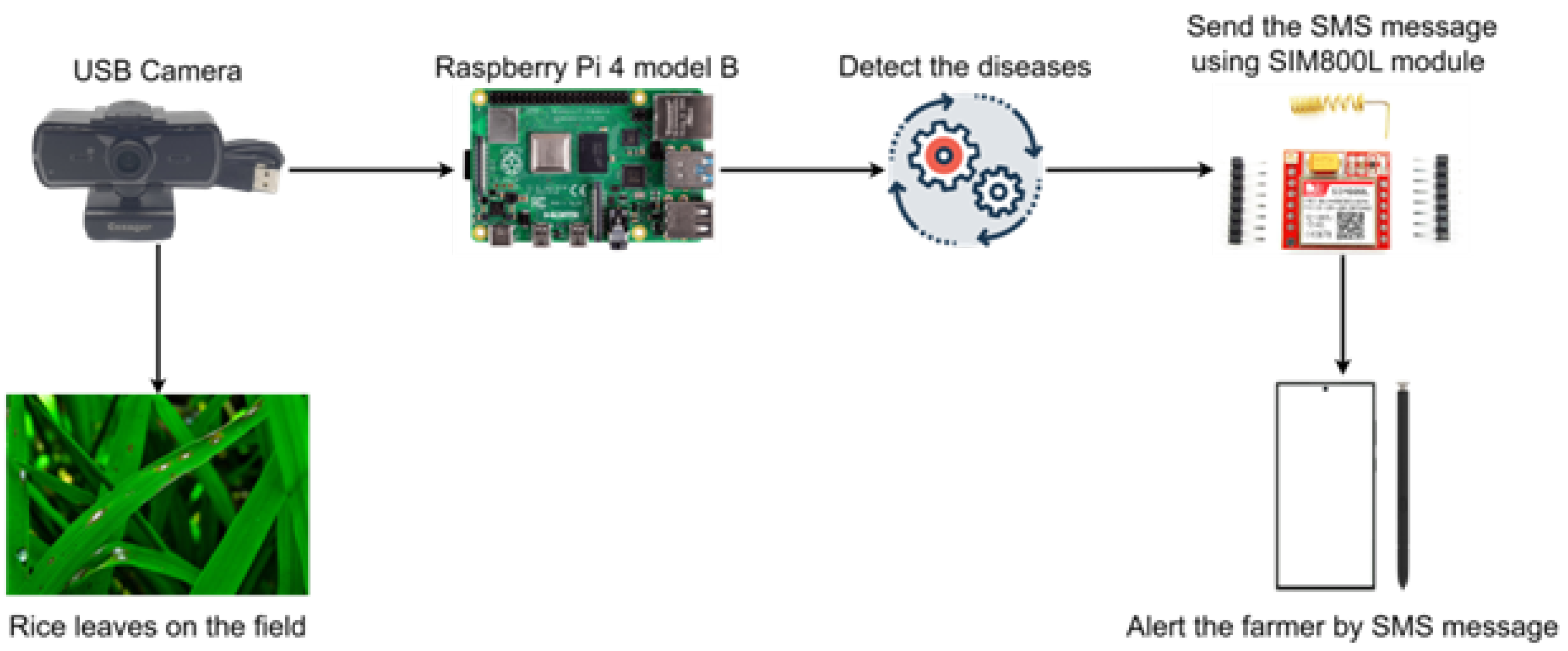 Alpha-EIOU-YOLOv8: An Improved Algorithm for Rice Leaf Disease Detection