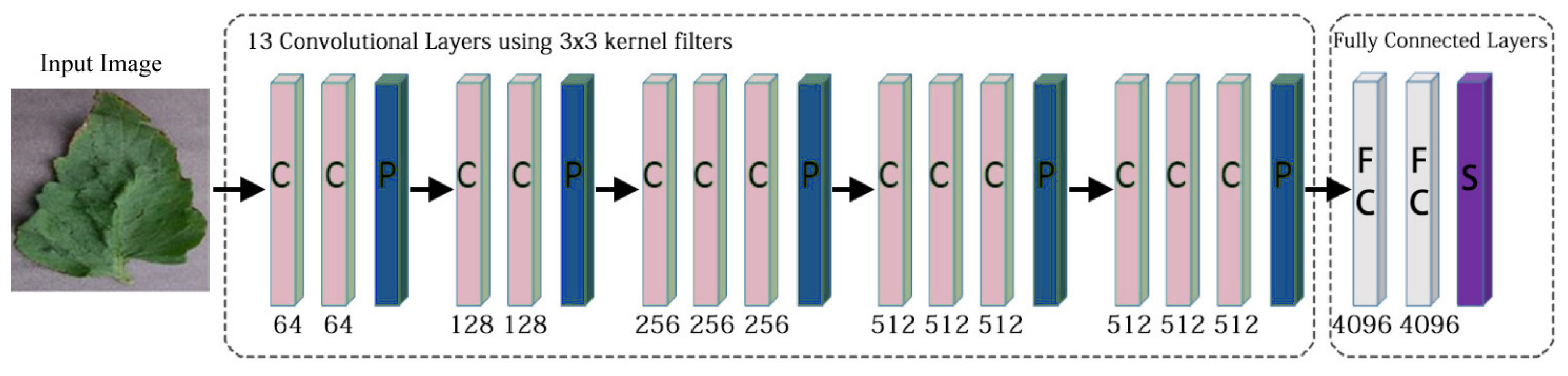 Enhanced Deep Learning Architecture for Rapid and Accurate Tomato Plant ...