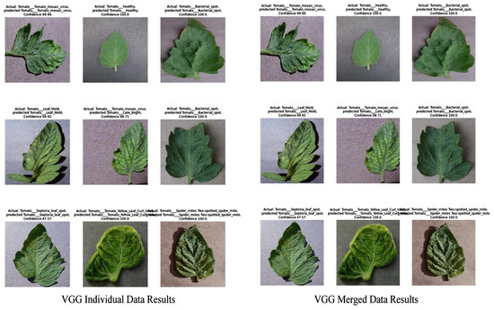 Enhanced Deep Learning Architecture for Rapid and Accurate Tomato Plant ...