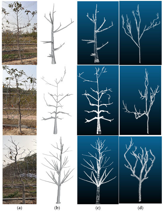 A Multiple Criteria Decision-Making Method Generated by the Space Colonization Algorithm for ...