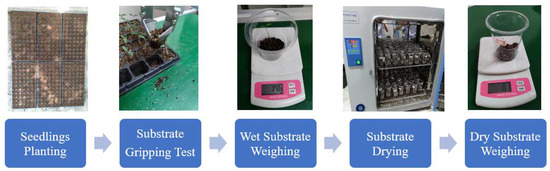 Design, Integration, and Experiment of Transplanting Robot for Early ...