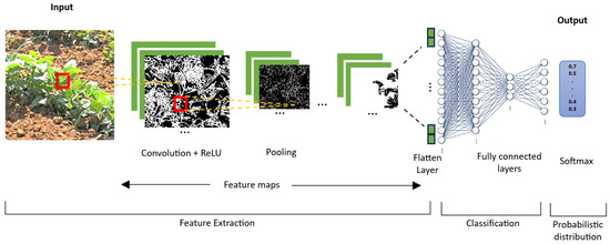 AgriEngineering | Free Full-Text | A Performance Comparison of CNN ...