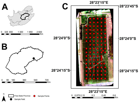 Synergetic Use of Sentinel-1 and Sentinel-2 Data for Wheat-Crop Height ...