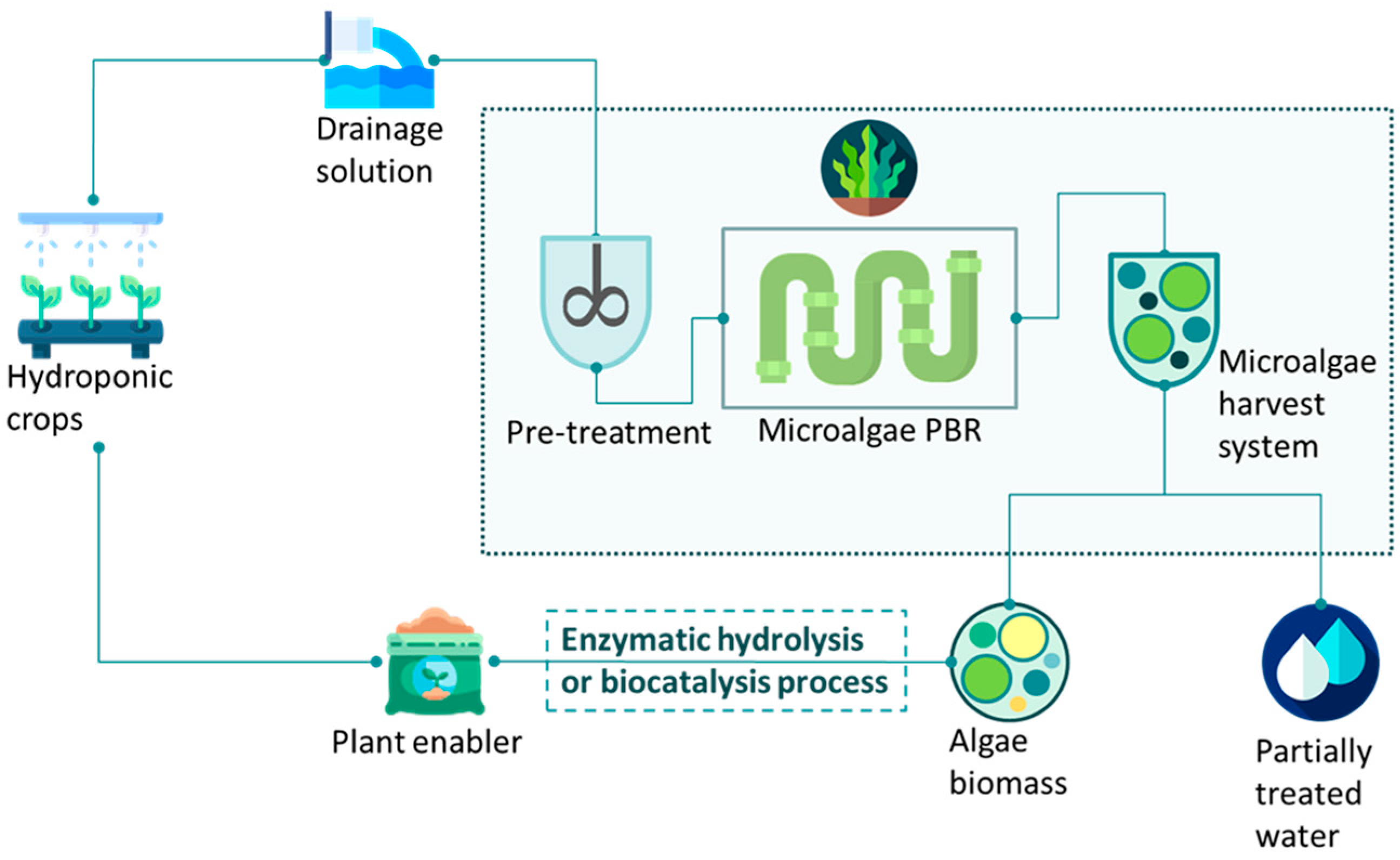 Development of a Greenhouse Wastewater Stream Utilization System for On-Site Microalgae-Based ...