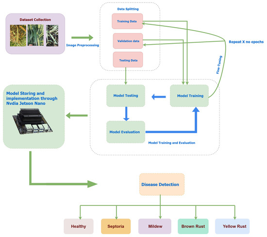 Wheat Leaf Disease Detection: A Lightweight Approach with Shallow CNN ...