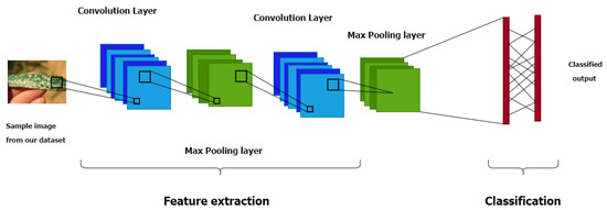 Wheat Leaf Disease Detection: A Lightweight Approach with Shallow CNN ...
