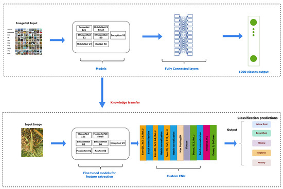Wheat Leaf Disease Detection: A Lightweight Approach with Shallow CNN ...