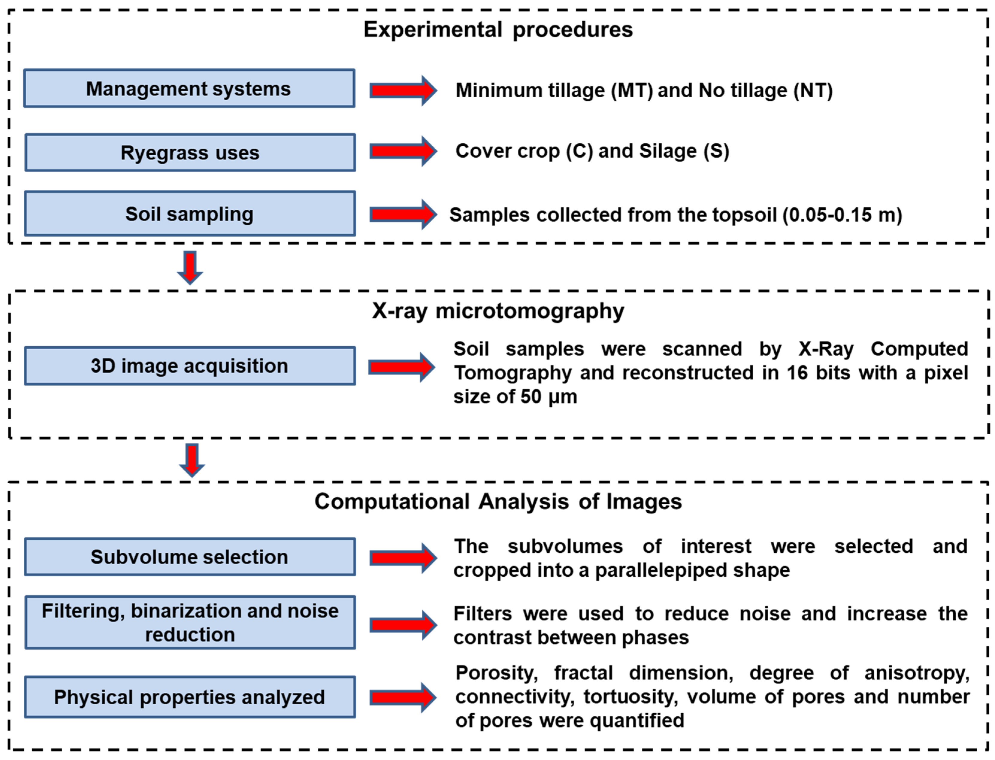 AgriEngineering | Free Full-Text | X-ray Microtomography Analysis of ...