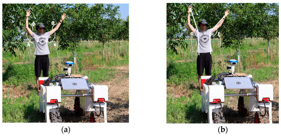 Human–Robot Interaction through Dynamic Movement Recognition for ...