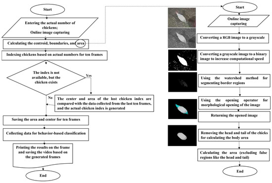 Optimizing Deep Learning Algorithms for Effective Chicken Tracking through Image Processing