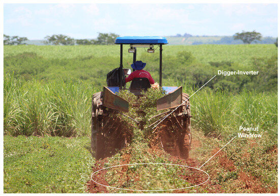 Automated Windrow Profiling System in Mechanized Peanut Harvesting