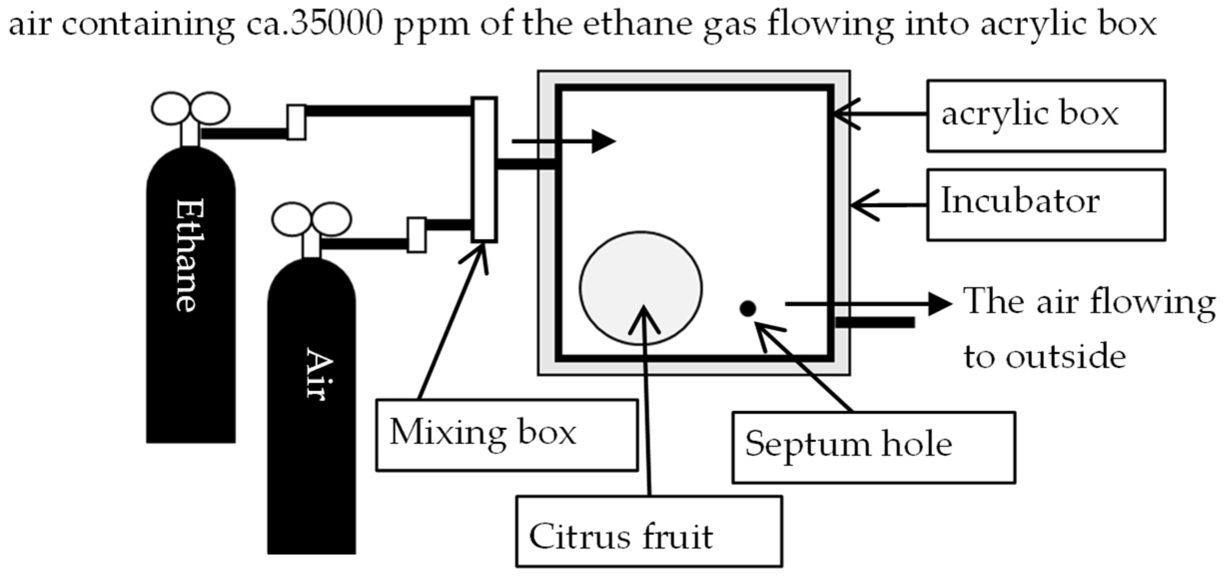 Various Cultivars of Citrus Fruits: Effects of Construction on Gas ...