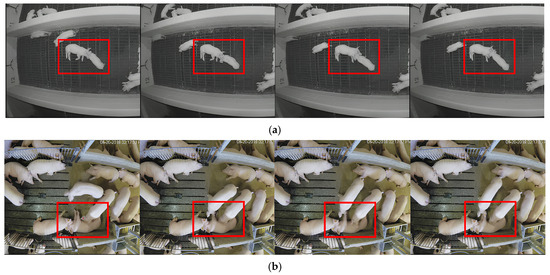 Application of Anomaly Detection to Identifying Aggressive Pig Behaviors Using Reconstruction ...