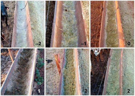 Use of Drones for Trough Reading, Animal Counting, and Production ...