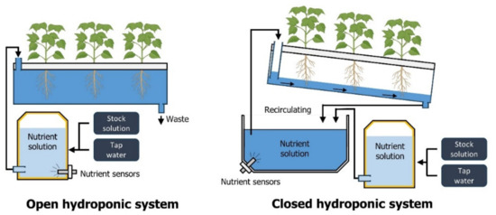 Next-Generation Nitrate, Ammonium, Phosphate, and Potassium Ion ...