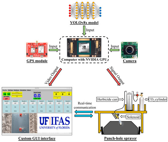 Developing AI Smart Sprayer for Punch-Hole Herbicide Application in ...
