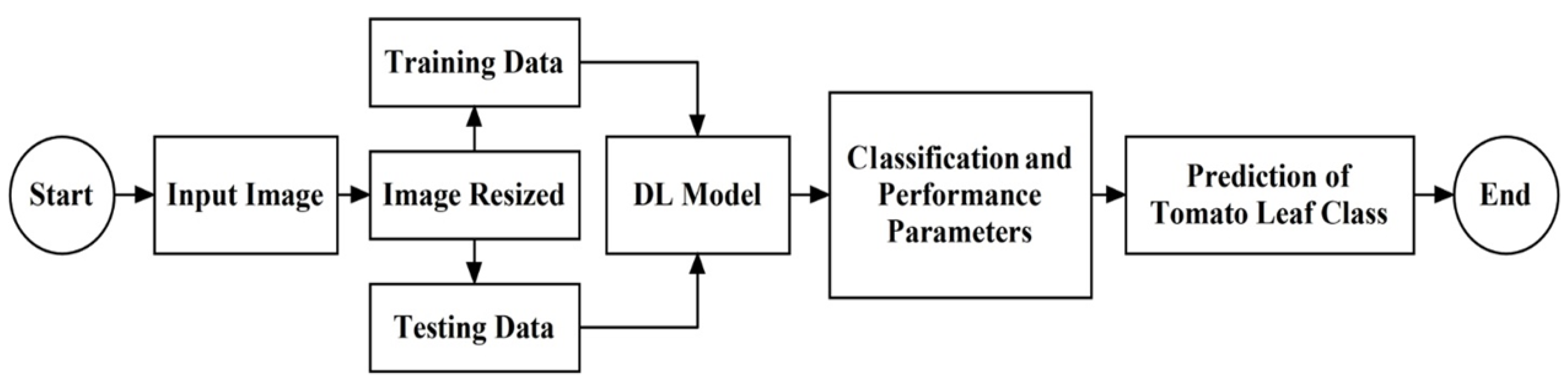 An Intelligent Group Learning Framework for Detecting Common Tomato ...
