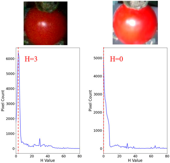 Classification of Tomato Harvest Timing Using an AI Camera and Analysis ...