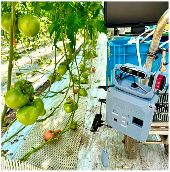 Classification of Tomato Harvest Timing Using an AI Camera and Analysis ...