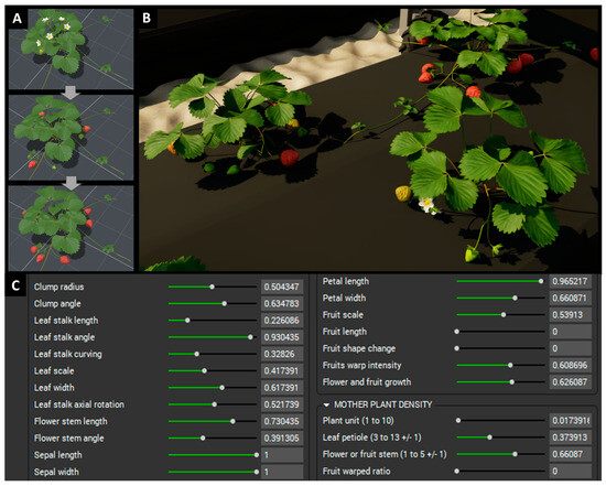 From Simulation to Field Validation: A Digital Twin-Driven Sim2real Transfer Approach for ...