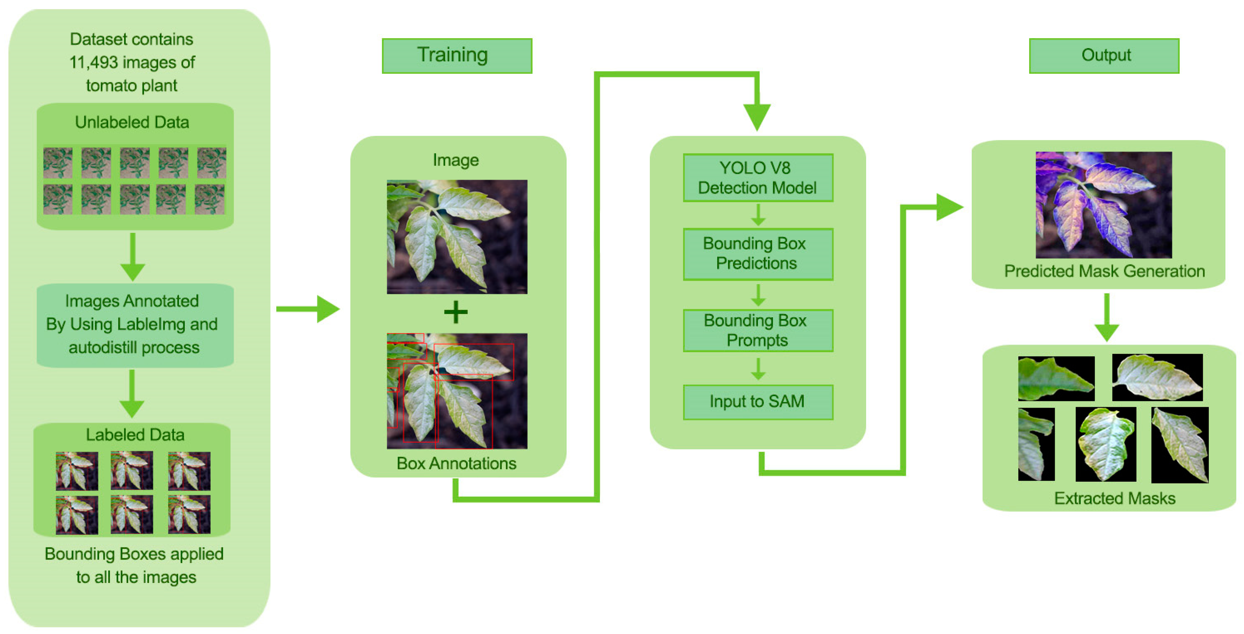 Tomato Leaf Detection, Segmentation, and Extraction in Real-Time ...