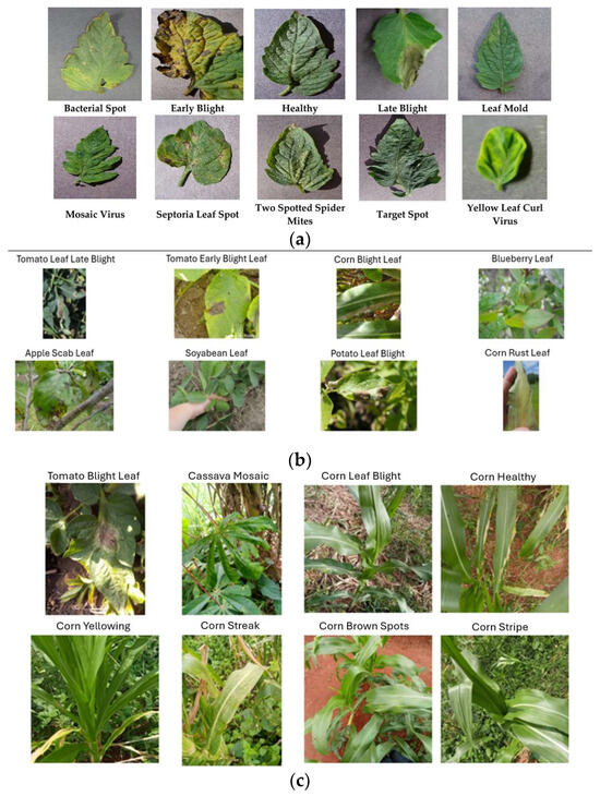 A Robust Ensemble Model for Plant Disease Detection Using Deep Learning ...