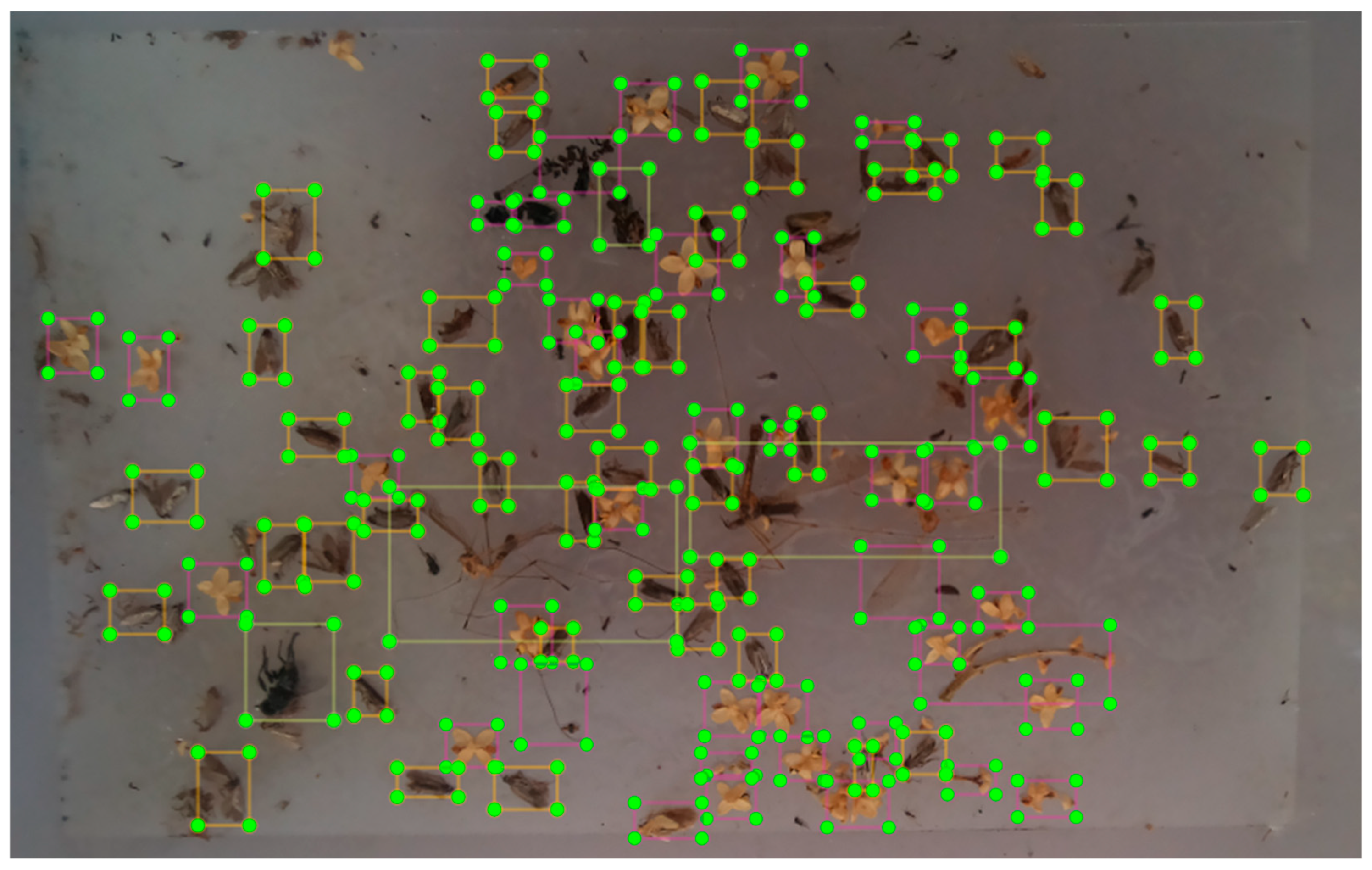 Towards Smart Pest Management in Olives: ANN-Based Detection of Olive ...