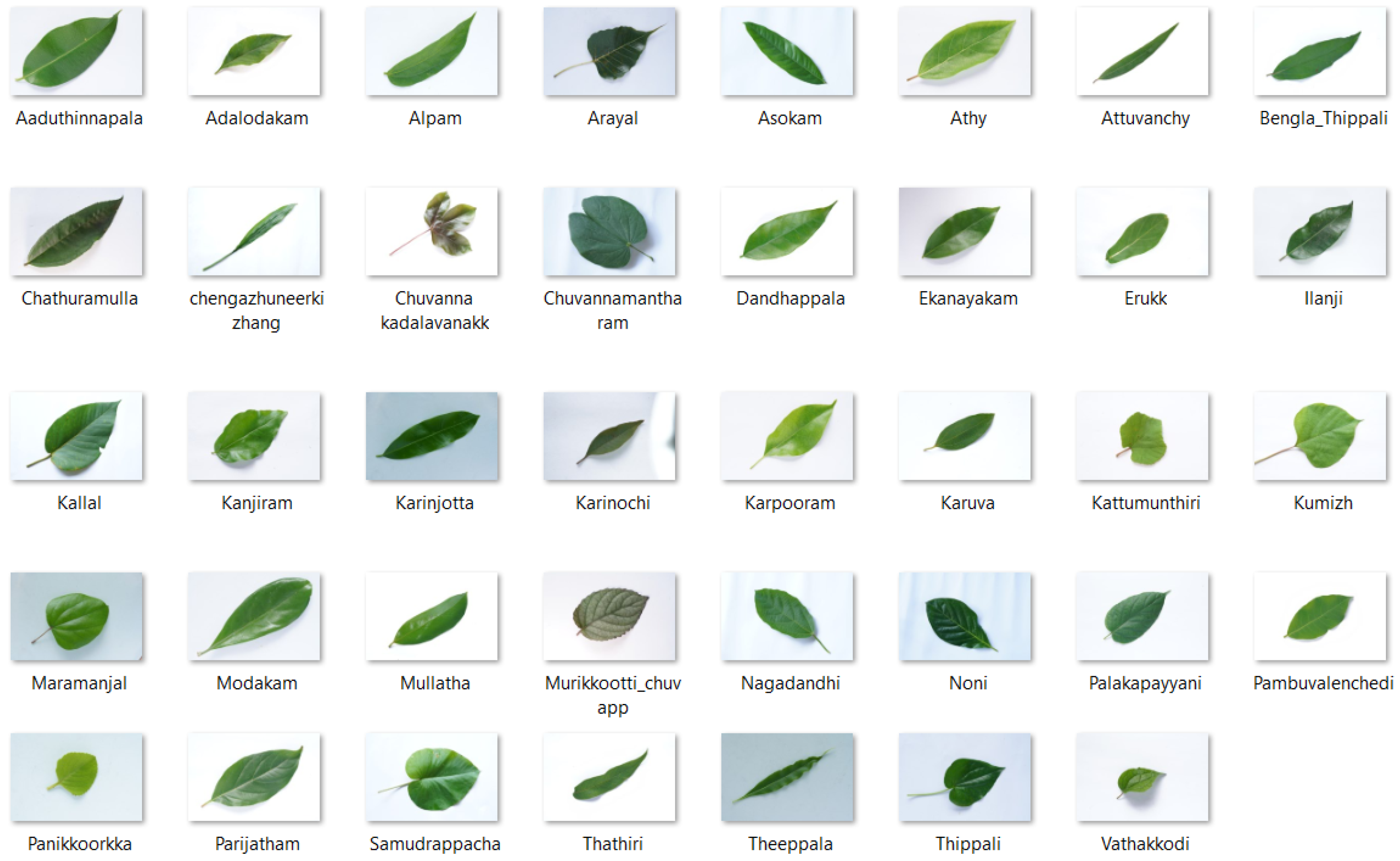 A Hybrid Deep Learning Model for Aromatic and Medicinal Plant Species ...