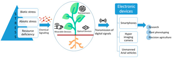Emerging Frontiers in Nanotechnology for Precision Agriculture: Advancements, Hurdles and Prospects