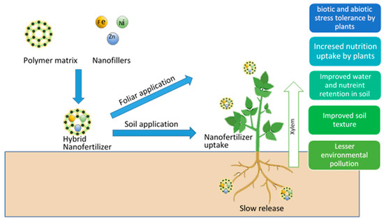 Nanofertilizers: Types, Delivery and Advantages in Agricultural ...