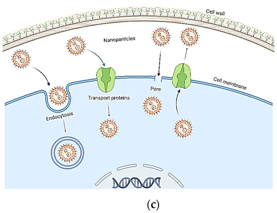 Nanofertilizers: Types, Delivery and Advantages in Agricultural ...