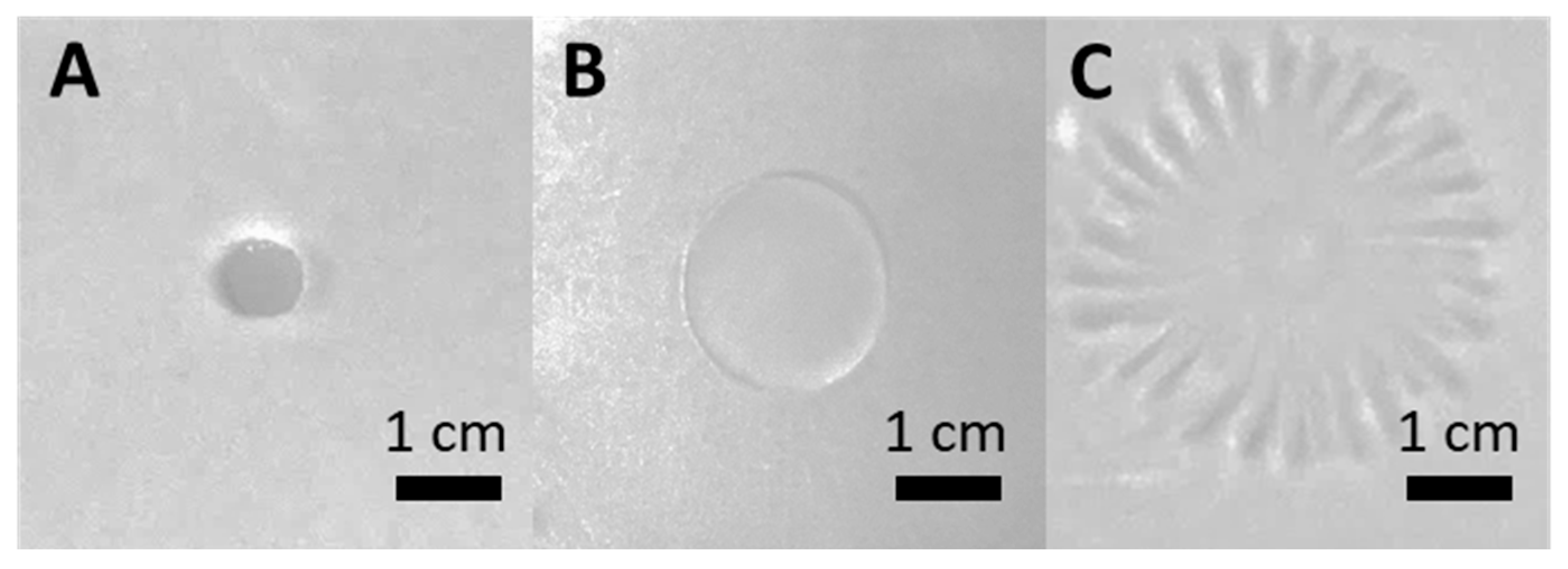 Agrochemicals | Free Full-Text | Adjuvant Pluronic F68 Is Compatible ...