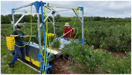 Applying New Technologies to Transform Blueberry Harvesting