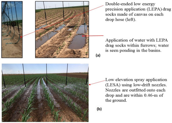 Performance of Precision Mobile Drip Irrigation in the Texas High Plains Region