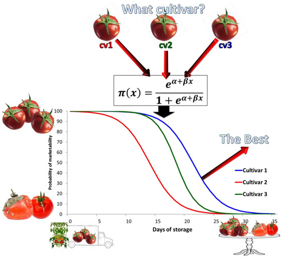 Marketability Probability Study of Cherry Tomato Cultivars Based on ...
