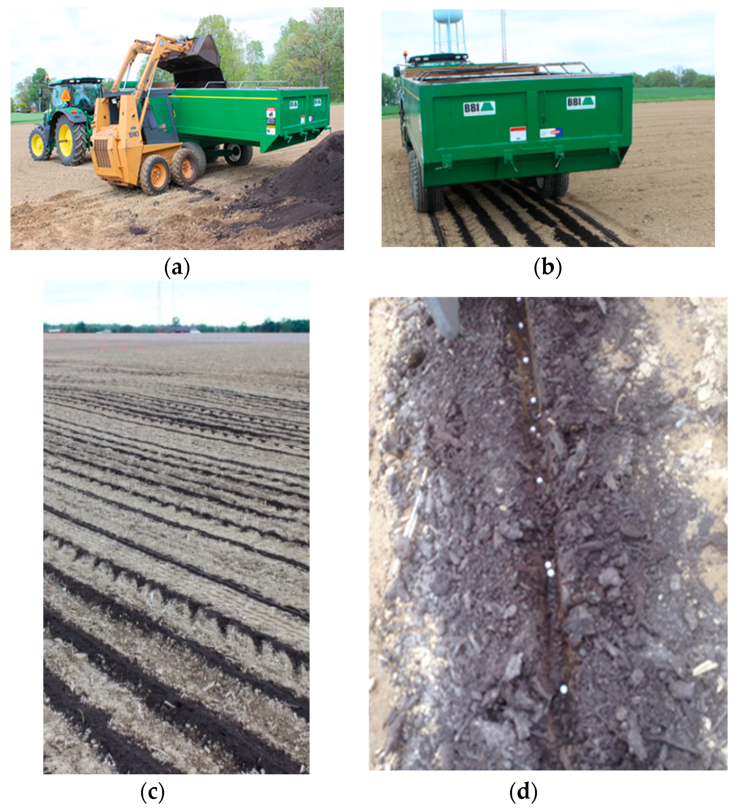 Progress in Direct Seeding of an Alternative Natural Rubber Plant ...