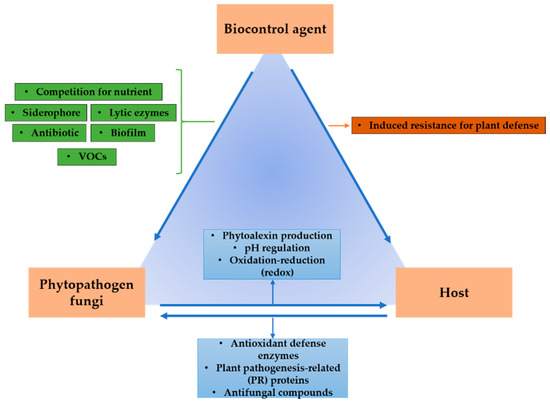 Biocontrol of Postharvest Fruit Fungal Diseases by Bacterial Antagonists: A Review