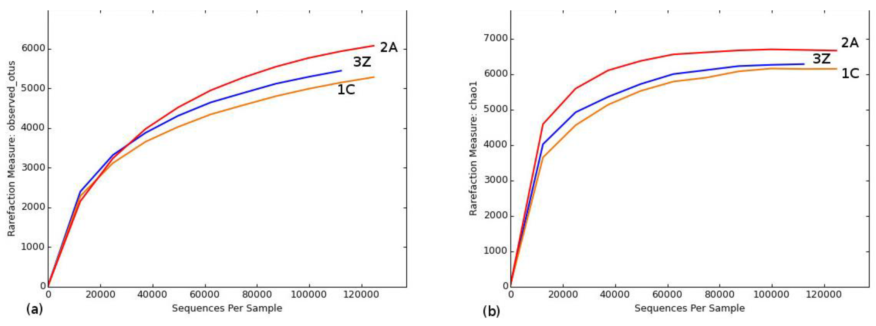 Effects of Nanoparticles on Plant Growth-Promoting Bacteria in Indian ...