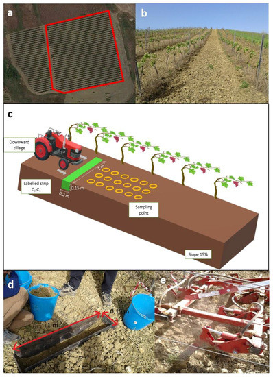 The Effect of Shallow Tillage on Soil Erosion in a Semi-Arid Vineyard