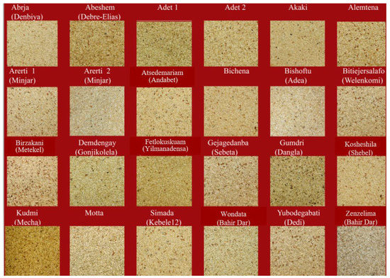 Teff Grain Physical and Chemical Quality Responses to Soil ...