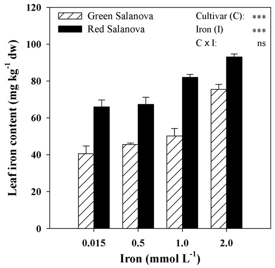 Iron Biofortification of Red and Green Pigmented Lettuce in Closed ...